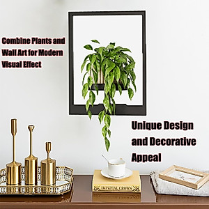 Picture Frame Wall Plant Holder, Window Plant Shelves, Plant Frames for Wall, Metal Plant Wall Frame, Metal Plant Stand,Modern Plant Stand,Plant Table for Multiple Flower Pots Modern Style (2pc)