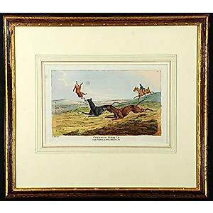 Coursing.Picking Up.