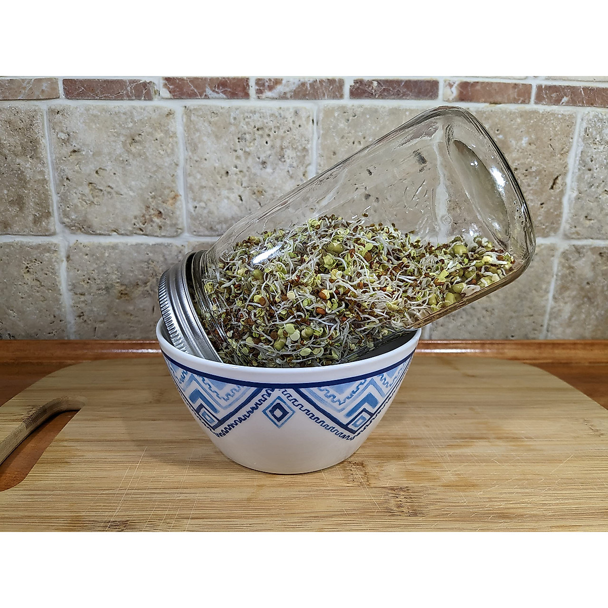 Variety Pack Sprouting Seeds Broccoli, Alfalfa, Radish, Mung beans & Salad Mix for Sprouts and Microgreens. Non-GMO. Pack of 10 premeasured seeds for quart size jars or trays. Includes 2 packs of each