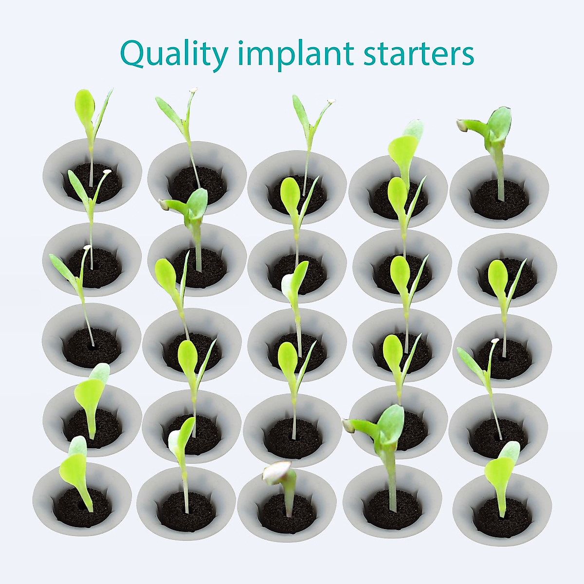 Reetsing 80 Pack Hydroponics Sponge,Replacementpre-Grow Sponges,Hydroponics Growing System Kit Compatible with Aerogarden sponges,Supplement pods for hydroponic Indoor Garden Growing System