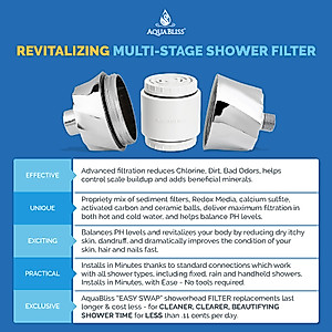 AquaBliss HD Revitalizing Shower Filter Replacement Cartridge - 2x Vitamin C + Mineral for Silky Hair, Glowing Skin, Strong Nails | KDF/CS/VC for Chemicals, Chlorine, Sediment (SFC400)