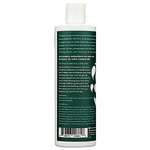 Purezero Tea Tree & Matcha Conditioner - Minty Nourishing & Invigorating Scalp Treatment - Zero Sulfates, Parabens, Dyes Vegan and Cruelty Free - 12 oz