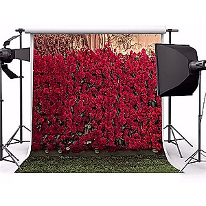 AOFOTO 8x8ft Portrait Backdrops Photography Wedding Background Manor Romance Red Rose Flowers Wall Blurry Grassland Lovers Anniversary Decor Kid Girl Ladies Portrait Photo Shoot Studio Props Vinyl