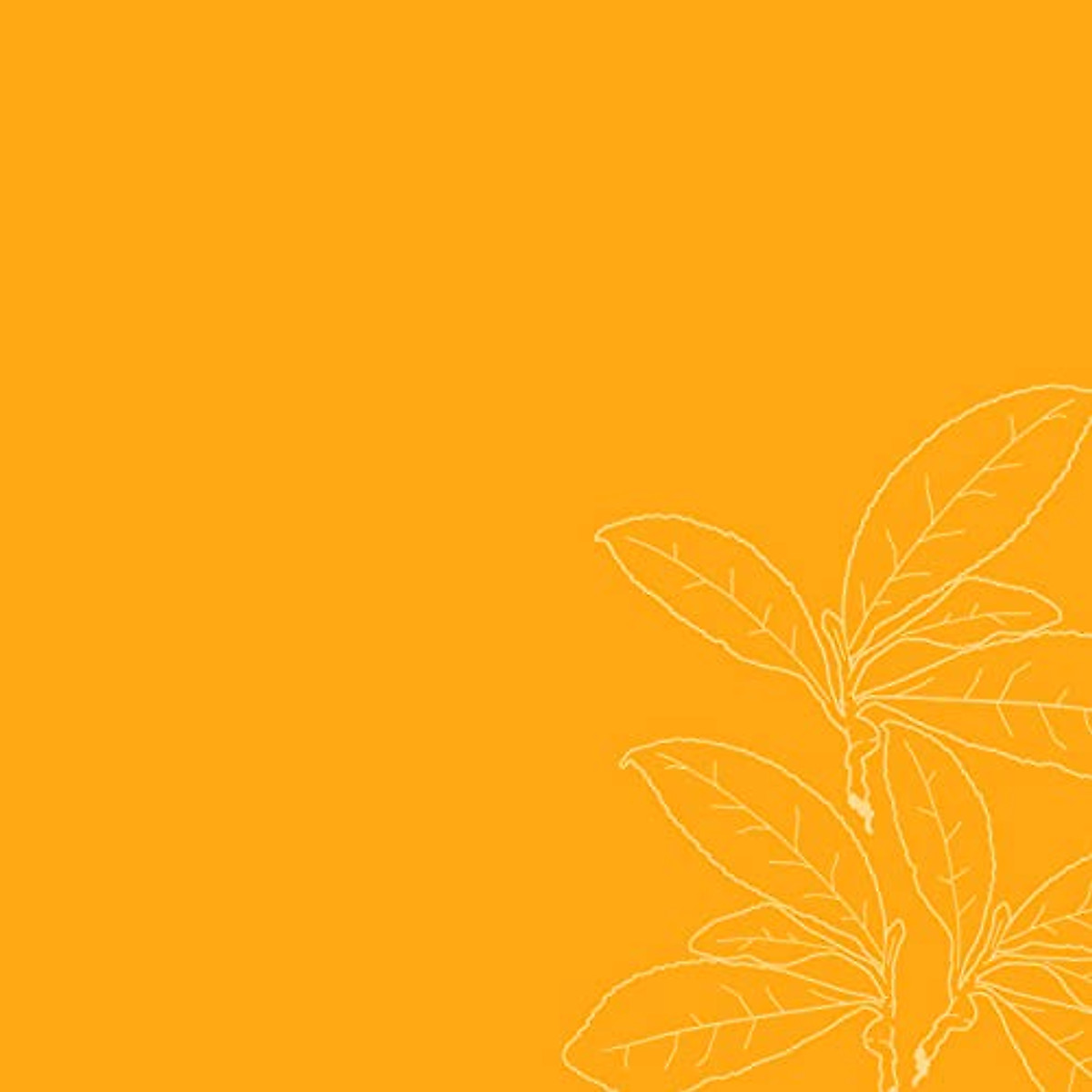 SheaMoisture Low Porosity Weightless Hydrating Shampoo For Moisture Resistant, Curly, Coily Hair Lightweight Hair Shampoo 13 fl oz