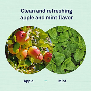 Petpost | Dental Wipes for Dogs - Bad Breath and Tooth Buildup Remover - Presoaked Pads in Natural Tooth Cleaning Solution 100 ct.