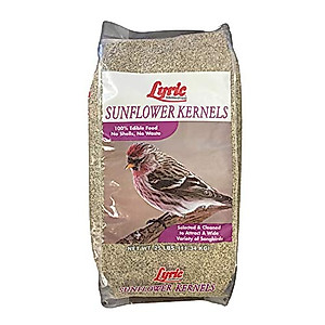 Lyric Sunflower Kernels Wild Bird Seed No Waste Bird Food Attracts Finches & More 25 lb. bag