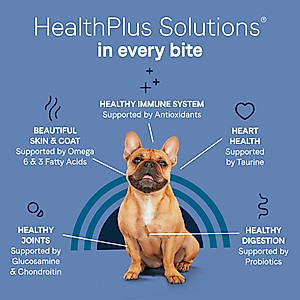 CANIDAE Pure Petite Premium Dry Dog Food for Small Breeds, Chicken & Wholesome Grains Recipe, 4 lbs.