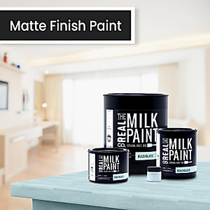 Real Milk Paint, Wood Paint for Furniture, Matte Paint for Cabinets, Walls, Brick, and Stone, Water Based Organic, No VOC, Beachglass, 1 Pint