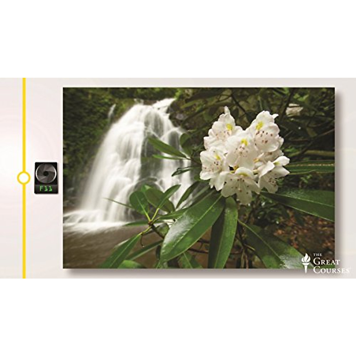 The National Geographic Guide to Landscape and Wildlife Photography