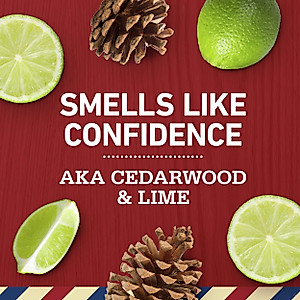 Old Spice Swagger 2in1 Shampoo & Conditioner for Men, 13.5 Fl Oz, 5.449 Fl Oz