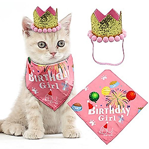LEBERY Dog Birthday Bandana Hat Set - Dog Boys Girls Birthday Hat Cat Dog Pink Birthday Decorations for Small Medium Dog Cat Pet (Pink Scarf & Crown)