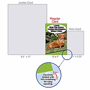 NobleWorks - 1 Adorable Birthday Card Funny - Pet Dog Animal Humor, Bday Notecard with Envelope - Tickle My N-pples C2069BDG