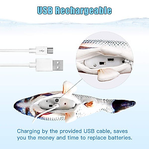 TOOGE 2 Pack 11" Floppy Fish Cat Toys with SilverVine and Catnip for Indoor Cats for Small Dogs Interactive Automatic Flopping Kicker Toys for Cats Puppy (Redblackcarp)