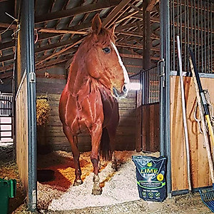 First Saturday Lime for Insects 20lb