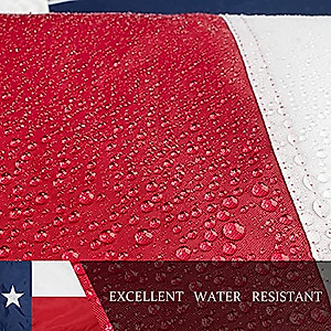 POZOY Deluxe 3x5 ft Texas Flag For Outside, TX State Flags Longest Lasting, Double Sided, Heavy Duty Nylon, Embroidered Star, Sewn Stripes, Brass Grommets Perfect for Outdoors!…