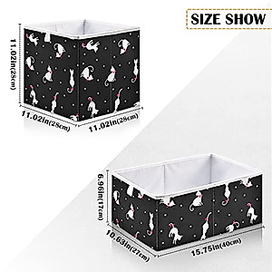Cute Cats Black Storage Baskets for Shelves Foldable Collapsible Storage Box Bins with Fabric Bins Cube Toys Organizers for Pantry Organizing Shelf Nursery Home Closet,11 x 11inch
