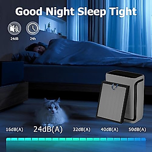 Vital 200S Replacement Filter for LEVOIT Vital 200S and Vital 200S-P Air Purifier, 3-in-1 H13 True HEPA and High-Efficiency Activated Carbon Filter, Vital 200S-RF, LRF-V201-WUS, 2 Pack, White