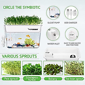 VIVOSUN 3-Gallon Aquaponic Fish Tank, Hydroponic Cleaning Tank for Freshwater Fish to Feed Plants and Plants Clean Tank, Additional Thermostat, Flow Pump, and Ceramsite Included