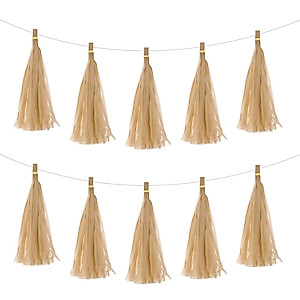 MECCANIXITY 15Pcs Khaki Tassel Garland Banner with Rope Tissue Paper Tassels Party DIY Kits for Anniversary Wedding Birthday Party