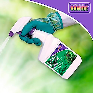 Bonide Sucker Punch, 16 oz Ready-to-Use Spray, Control Unwanted Plant Sprouts, Plant Growth Regulator for Home Garden
