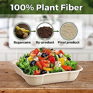 [500 COUNT]Harvest Pack 8" x 8" Compostable Disposable Food Trays, Eco-Friendly Square Serving Container Made From Plant Fibers Meal Prep Takeout Dinnerware Plates Catering