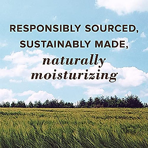 Burt's Bees 100% Natural Origin Rescue Lip Balm With Beeswax and Antioxidant-Rich Turmeric Promotes Healing Of Extremely Dry Lips, Unscented, 2 Tubes in Blister Box