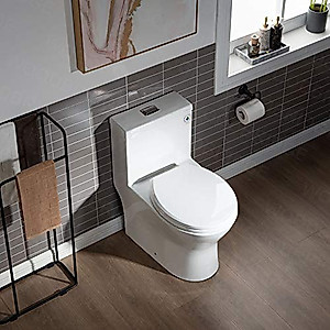 WOODBRIDGE Short Compact Tiny Dual Flush 1.28 GP One Piece Toilet,with Soft Closing Seat,1000 Gram MaP Flushing Score Small Toilet with Brushed Nickel Button B0500-BN, White