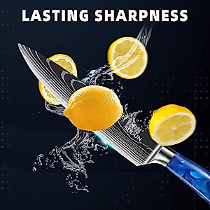 SUDUN 8 Inch Professional Kitchen Knife,Super Stainless Steel Chefs Knife, Ultra Sharp Blade, German High Carbon Stainless Steel Kitchen Chopping Knife with Resin Handle and Gift Box