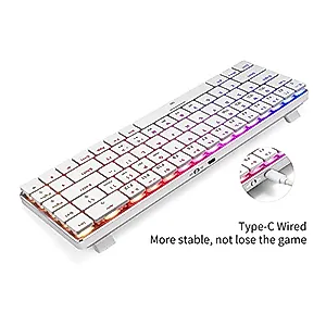 HUO JI 60% Compact RGB Wireless Mechanical Gaming Keyboard, Blue Switches, Bluetooth 5.0, Wired Keyboard 69 Keys for PC Tablet Laptop Cell Phone, White