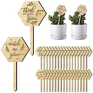 Watch Me Grow Succulent Tags Baby Shower Thank You for Helping Me Grow Plant Markers Hexagon Plant Stakes Labels Wooden Succulent Tag for Seed Flowers Garden Potted Plants (36 Pieces)
