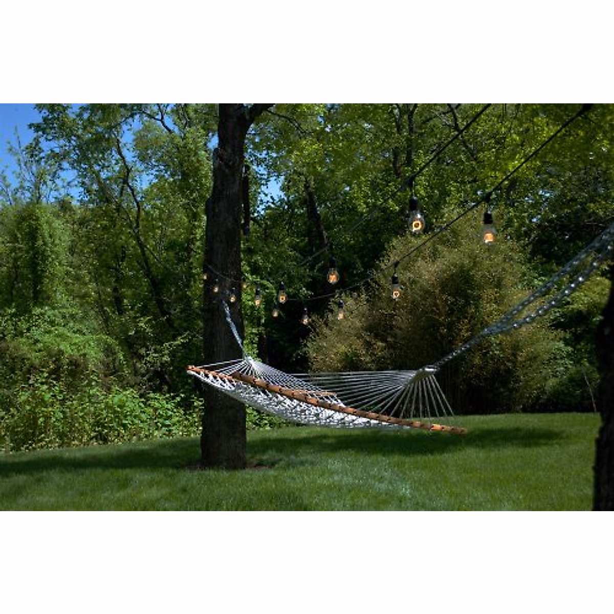 Bulbrite STRING15/E26-S14KT Outdoor, Garden, Patio, Wedding, Party, Holiday, Lawn, and Landscape String Light w/Incandescent Bulbs, 48-Feet, 15 Lights