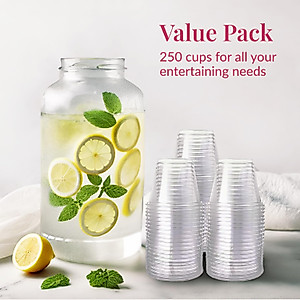 250 Clear Plastic Cups | 9 oz Plastic Cups | Clear Disposable Cups | PET Clear Cups | Plastic Water Cup | Plastic Wine Glasses | Clear Plastic Party Cups | Bulk Plastic Tumblers