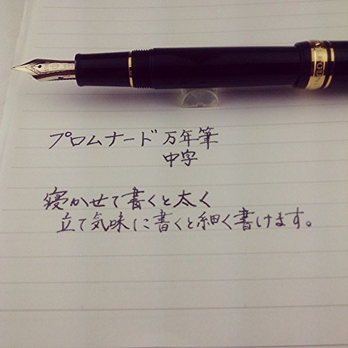 Sailor Pen fountain pen Promenade in fine 11-1031-340 Shining Blue