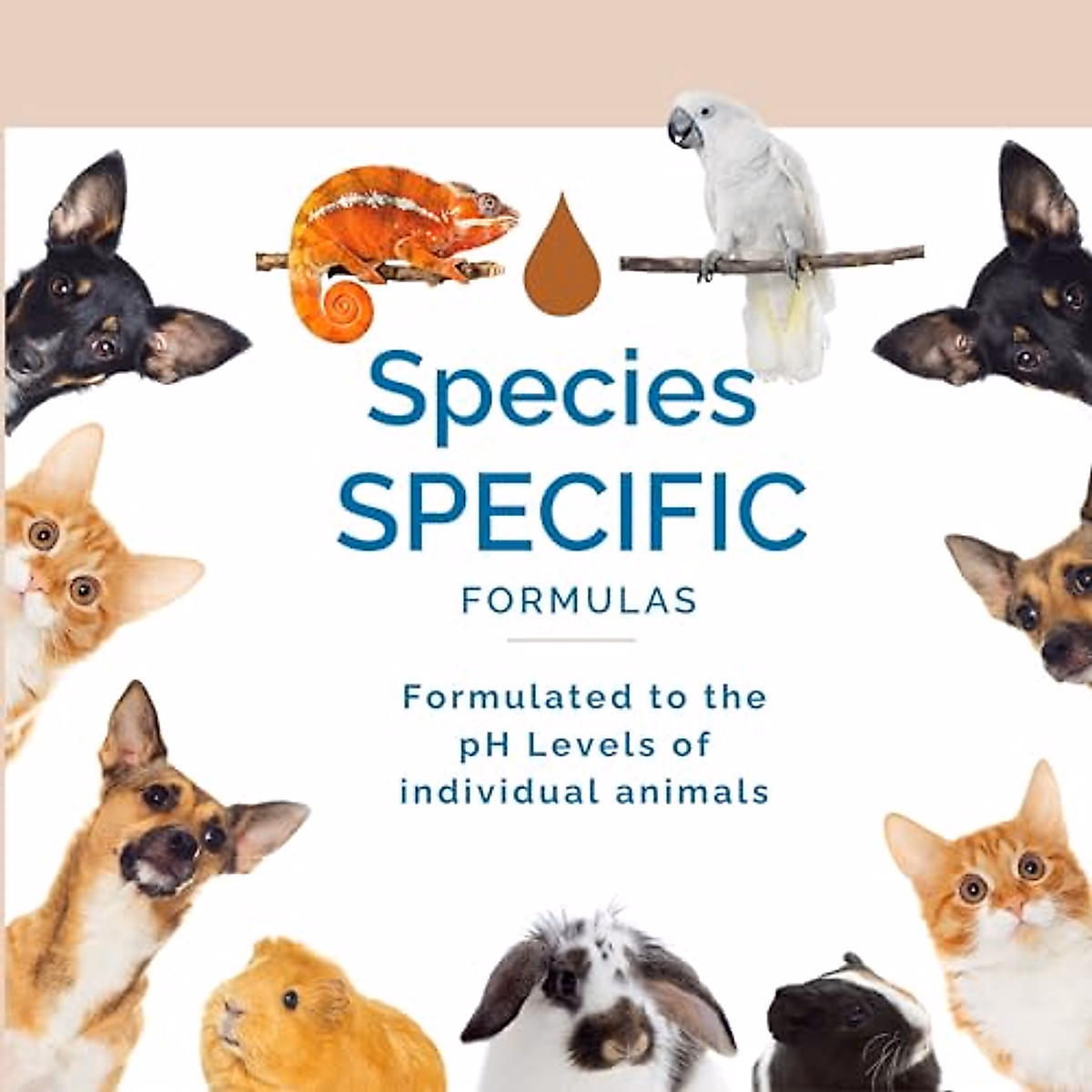 No Scent Small Animal Cage Cleaner for Hamster, Guinea Pig, Rabbit Pet Odor Spray for Urine, Poop & Stains (2 Fl Oz / 59 mL)