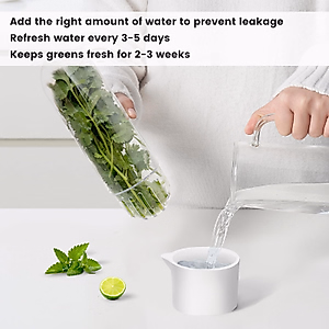 UEOZ Herb Keeper for Refrigerator, Herb Saver for Refrigerator, Cilantro Container, Vegetable Preservation Bottle for Cilantro, Mint, Parsley, Asparagus, Keeps Greens Fresh for 2-3 Weeks (2PCS)