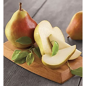 Harry & David - Merry Mix-Up Gift Box