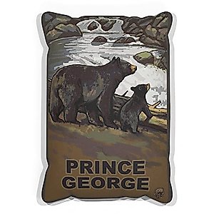 Prince George British Columbia Canada Bear Cub Falls Canvas Throw Pillow for Couch or Sofa at Home & Office from Travel Artwork by Artist Paul A. Lanquist 13" x 19".