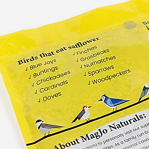 MagJo Naturals Safflower Seeds for Wild Birds (8 lbs) Whole Seeds, USA Farm Direct, Wild Bird Food, Safflower Seed, Safflower Bird Seed, Bird Seed for Weddings