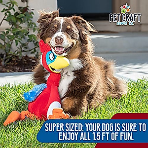 Pet Craft Supply Giggling Puffin & Parrot Multi Pack Interactive Dog Toys With Sound for Large Breed and Small Dogs Soft Chew Plush Dog Toy
