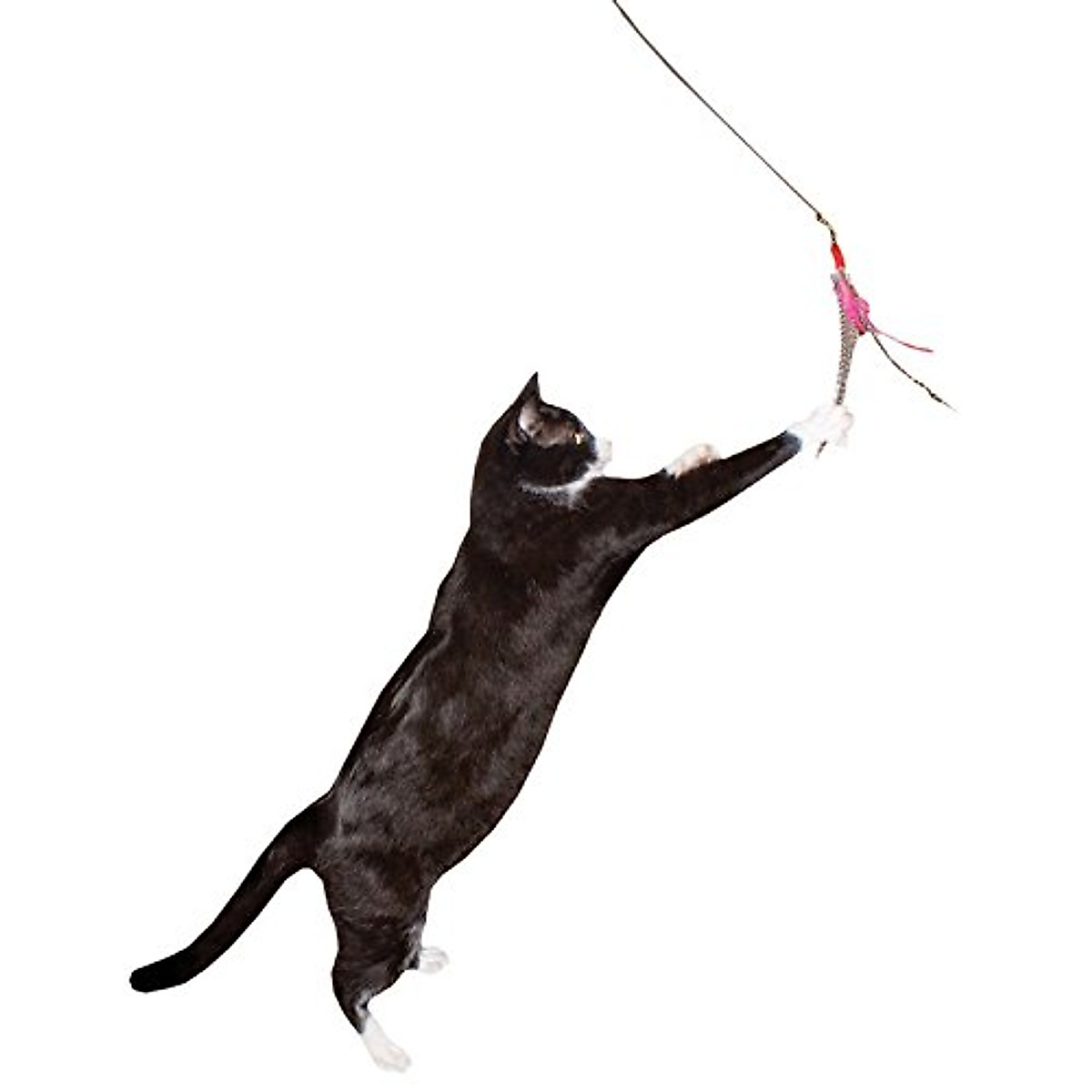 GoCat Da Bird Rod and Feather Cat Toy, Handmade in The USA (1 Bird)