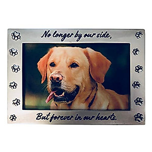 NewLifeLandia Pet Memorial Picture Frame Keepsake for Dog or Cat, Perfect Loss of Pet Gift for Remembrance and Healing