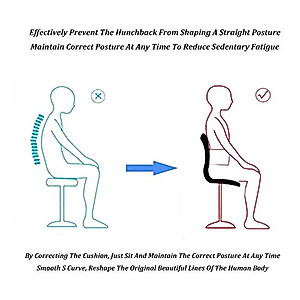 RongJian Seat Cushion Lumbar Support Pillow for Office Chair Designed for Spine and Lower Back Pain Coccyx, Sciatica, Ergonomic, Breathable, for Desk Chairs