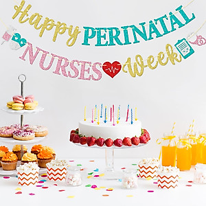 Happy Perinatal Nurse Week Banner, Pre-strung Perinatal Nurse Week Party Banner, Perinatal Nurse Appreciation Week Party Decorations, Blue Pink and Glitter