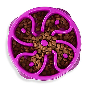 Outward Hound Fun Feeder Slo Bowl, Slow Feeder Dog Bowl, Medium/Mini, Purple