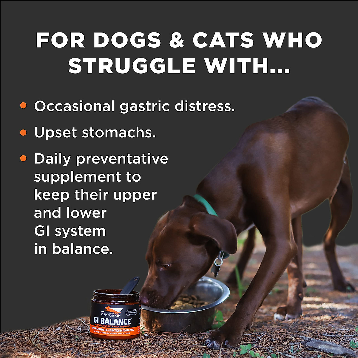 Super Snouts GI Balance Digestive Supplement for Dogs & Cats, 3.1 oz Pumpkin Powder for Dogs & Prebiotic Gut Health, Immune Support