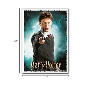 Arcane Tinmen Dragon Shield Sleeves - Matte Art 100 CT - MGT Card Sleeves - Compatible with Magic The Gathering Card Sleeves Pokémon and Other Card Games - Limited Edition: Harry Potter: Harry Potter