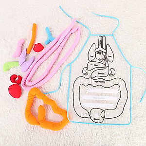 Mikikit 3D Organ Apron Organ Apron: 1 Set Versatile Apron Kindergarten Teaching Anatomy Apron Human Body Organs Awareness Educational Toy Human Internal Organs Teaching Equipment