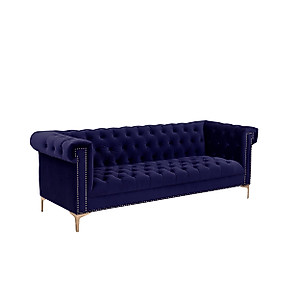 Iconic Home Gold/Navy Bea Velvet with Nail head Trim Tone Metal Sofa