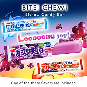 SHOGUN CANDY, 40 Pcs Japanese Snacks and Japanese Candy, Popin Cookin Japanese Snack Box, Kawaii Dagashi Box, (TSUKUYOMI Mystery BOX)