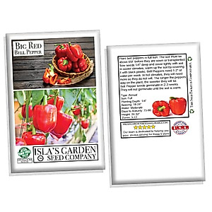 Big Red Bell Pepper Seeds for Planting, 50+ Heirloom Seeds Per Packet, (Isla's Garden Seeds), Non GMO Seeds, Botanical Name: Capsicum annuum, Great Home Garden Gift